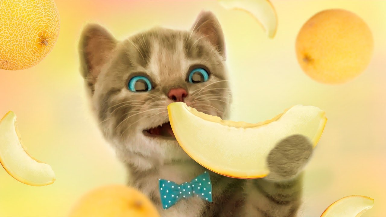 Little Kitten & Friends Adventure - Learn with a cute virtual cat ...