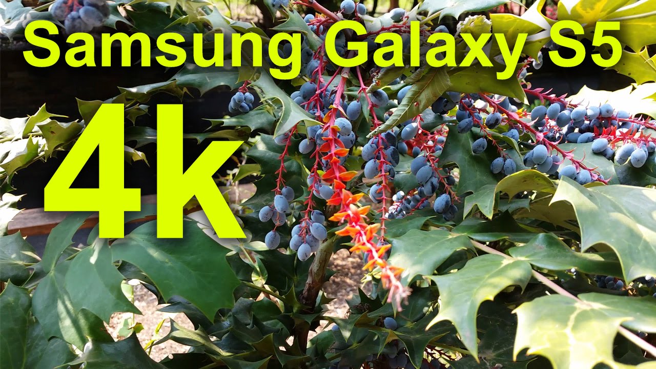 Samsung Galaxy S5 4k UHD 3840x2160 - YouTube