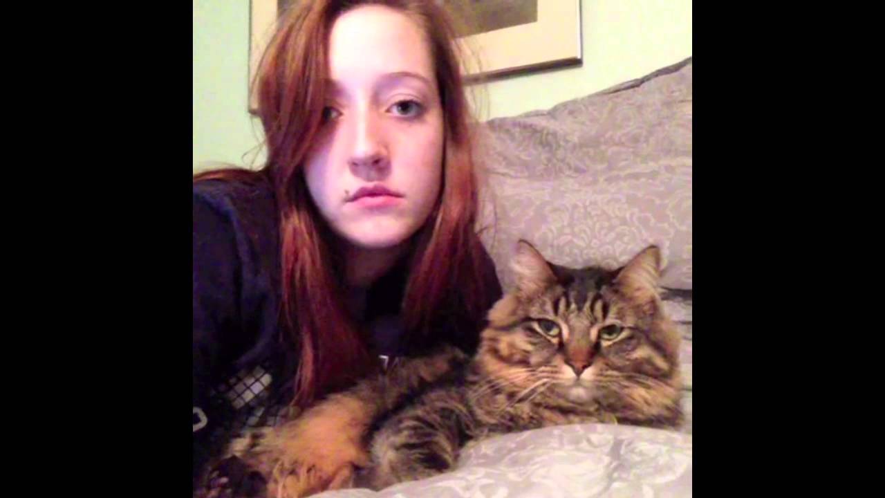 Best Cat Vine Compilation for October 2013 - YouTube