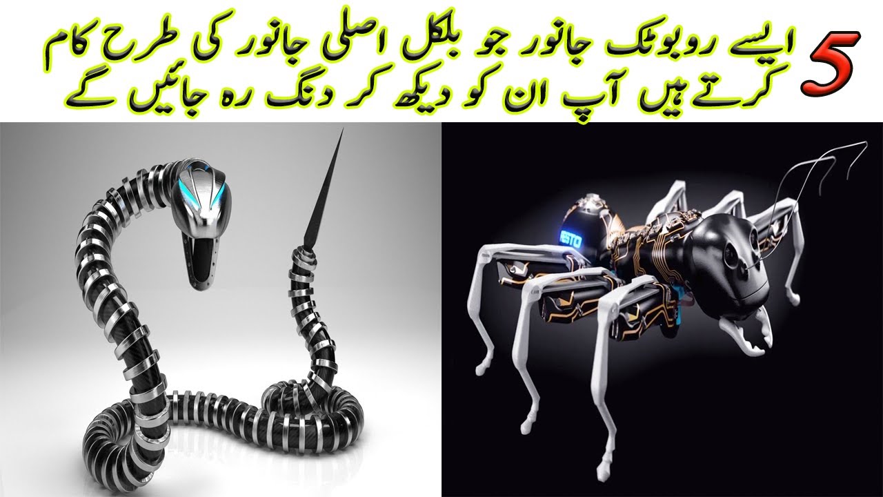 Top 5 Amazing Robotic Animals You Never See Before - YouTube