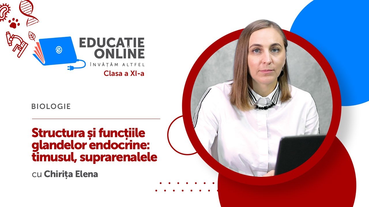 Biologie, Clasa a XI-a, Structura și funcțiile glandelor endocrine ...