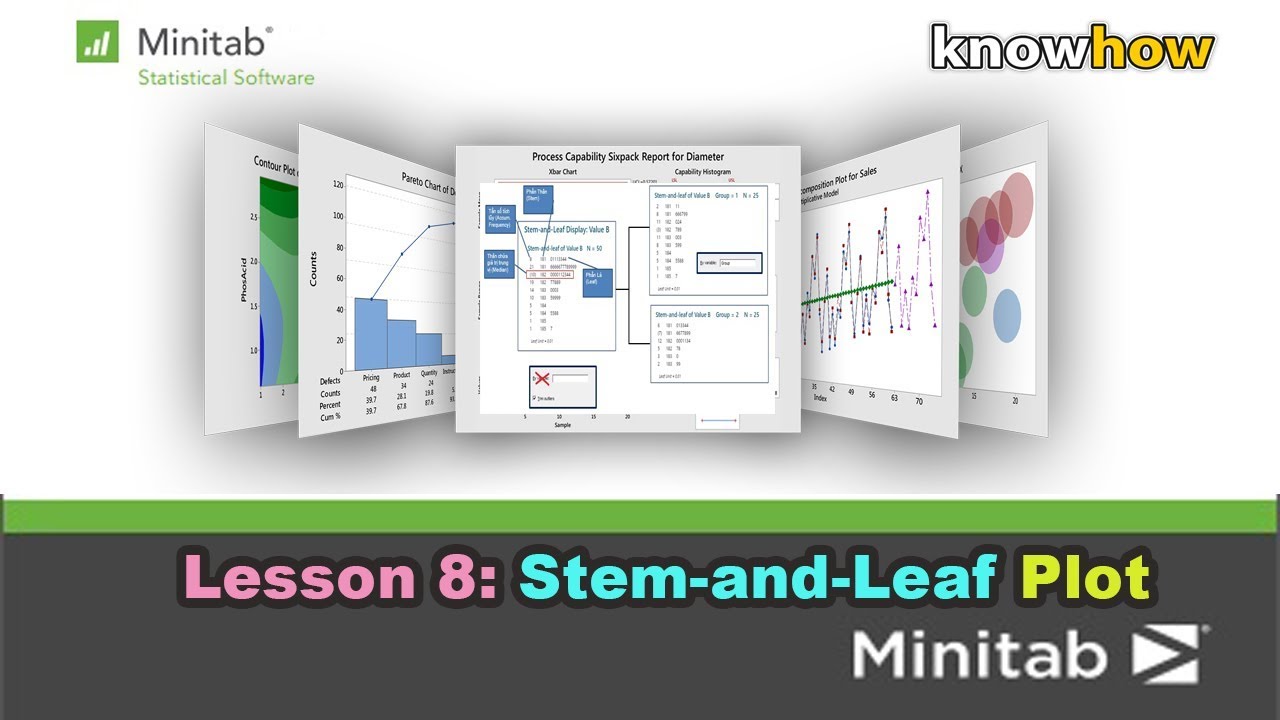 Bài 8: Vẽ biểu đồ thân và lá/ How to create Stem-and-Leaf in Minitab - YouTube