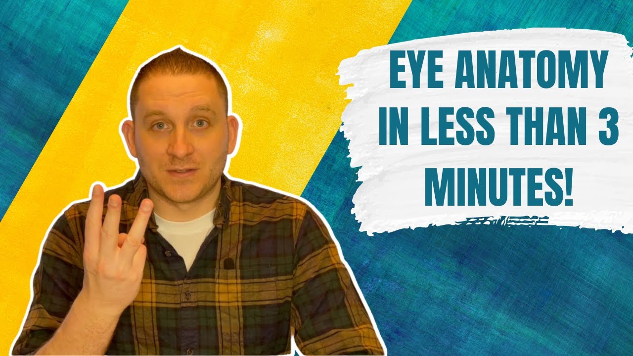 Eye anatomy in less than 3 MINUTES! - YouTube