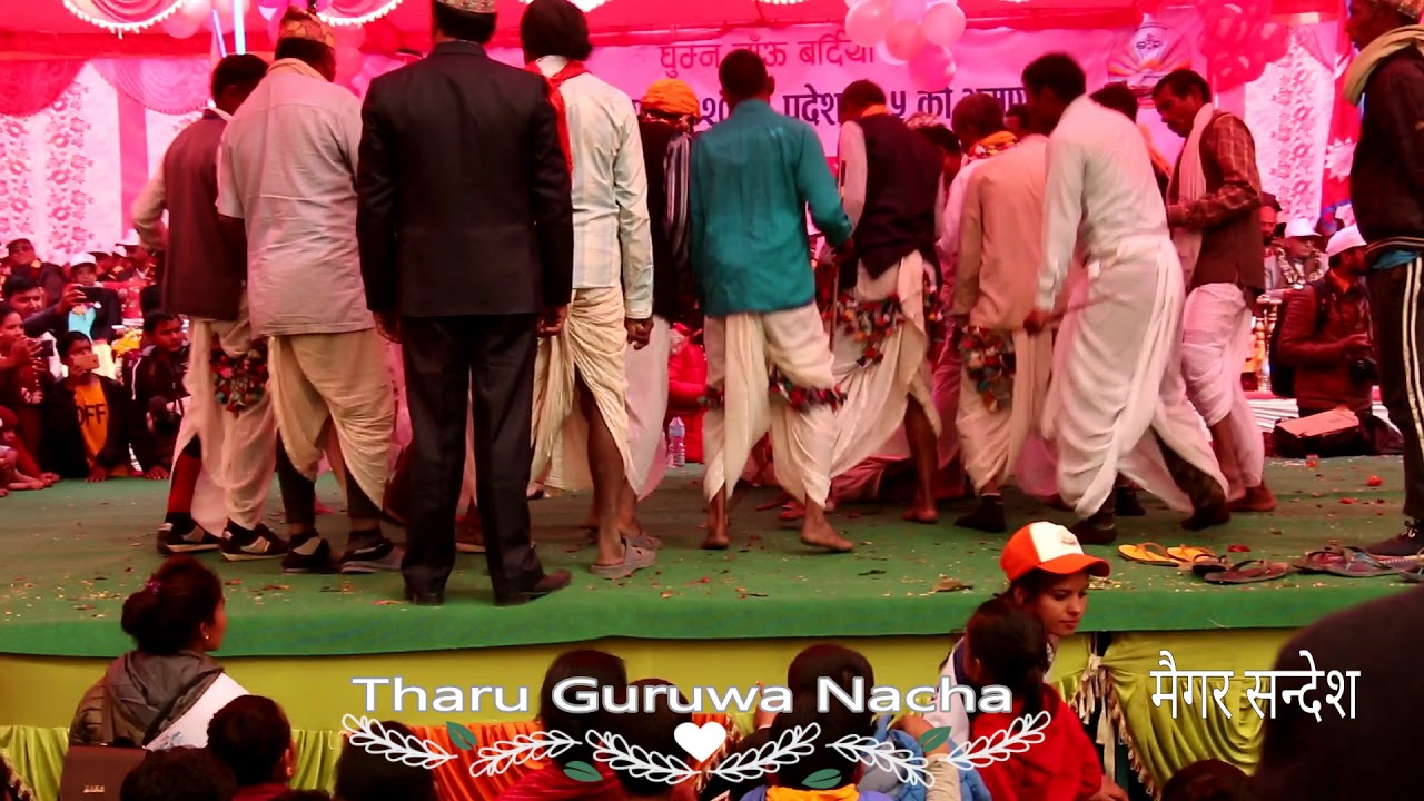 Tharu Guruwa पर्यटन वर्ष २०२० शुभारम्भ कार्यक्रमको मञ्च मै थारु गूवालाई ...