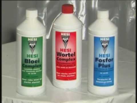 Growing Cannabis K2 Marijuana part 2 - YouTube