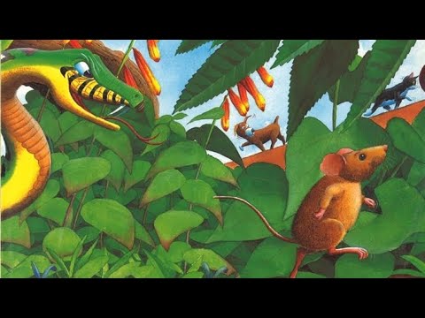 'Look Out Patrick' book read aloud for kids @Learn_with_Judithd - YouTube
