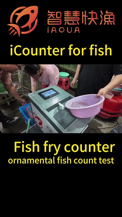 Ornamental fish count test，automated Fish Counter.#aquatic #fingerlings ...