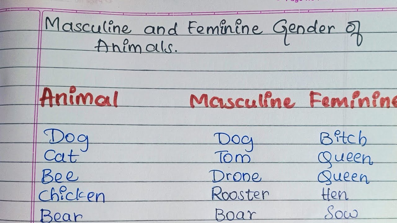 Masculine Animals