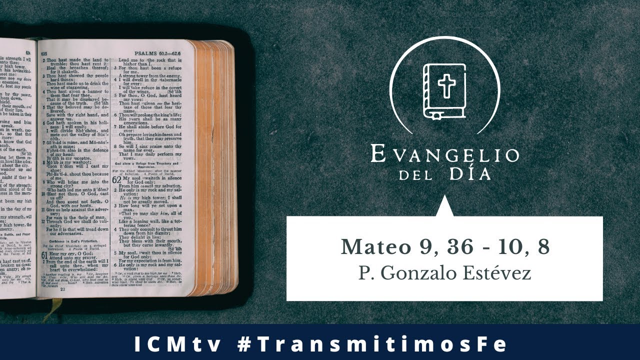 Evangelio del día - Mateo 9. 36-10,8 | Domingo 18 de junio del 2023 ...