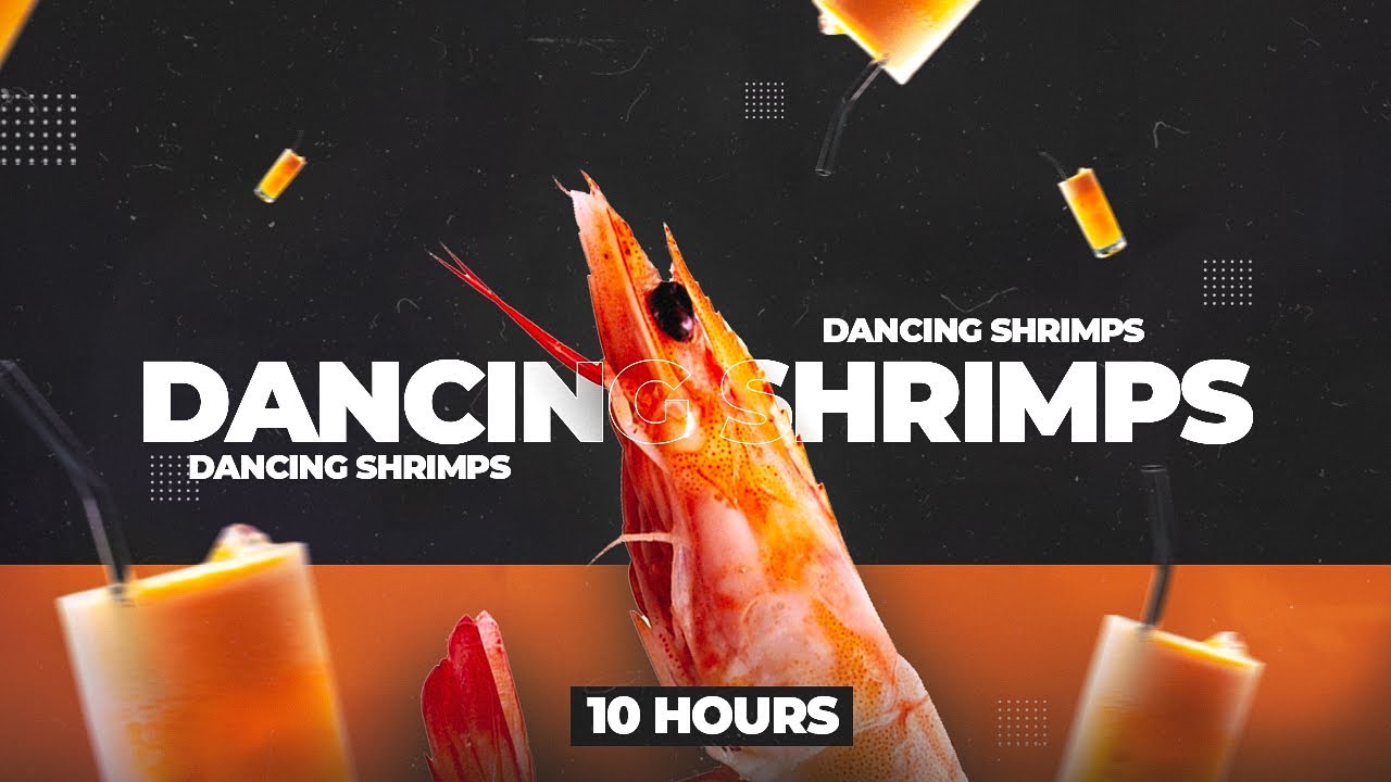 Dancing Shrimps 10 Hours - YouTube