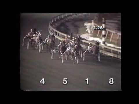 1990 Meadowlands SWEET SHARON Overbid Final $57,000