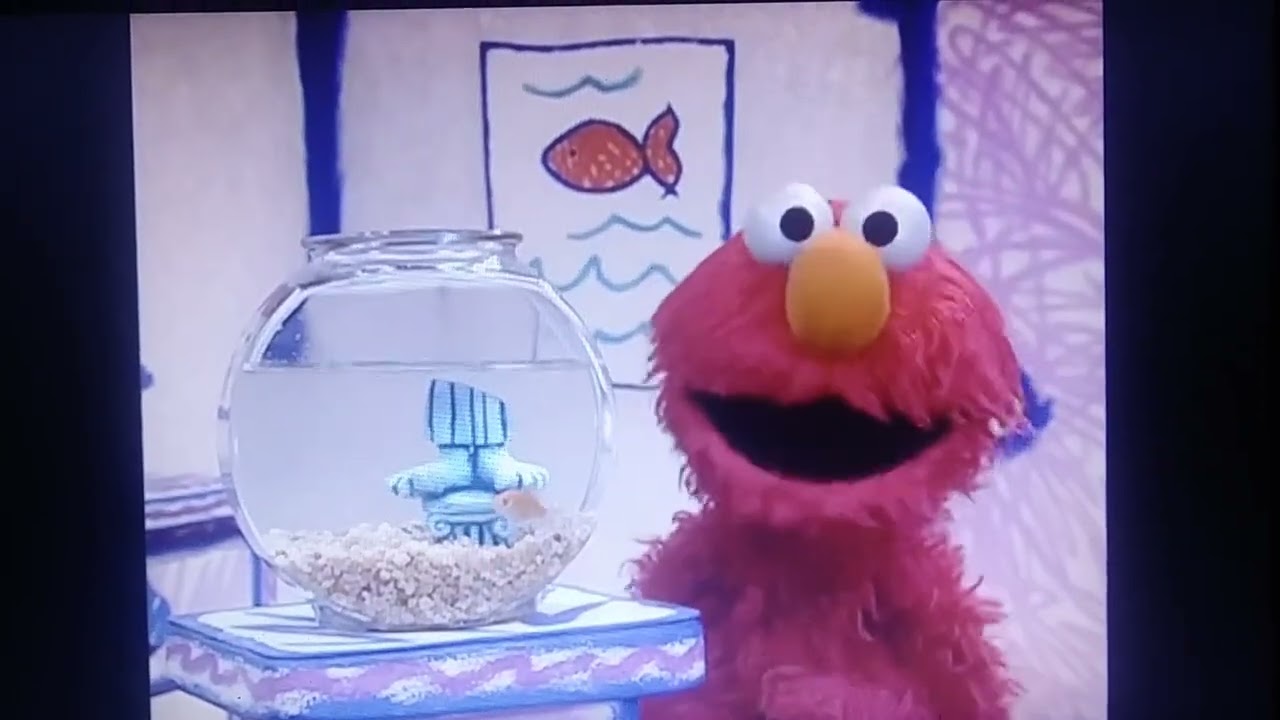 Elmo's World Dorothy's Feet Question - YouTube
