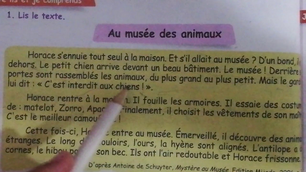 Au musée des animaux 5AP projet 2 séquence 1 - YouTube
