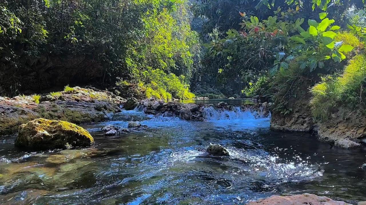 The Sound of Running Water Helps Relax and Reduce Stress Immediately ...