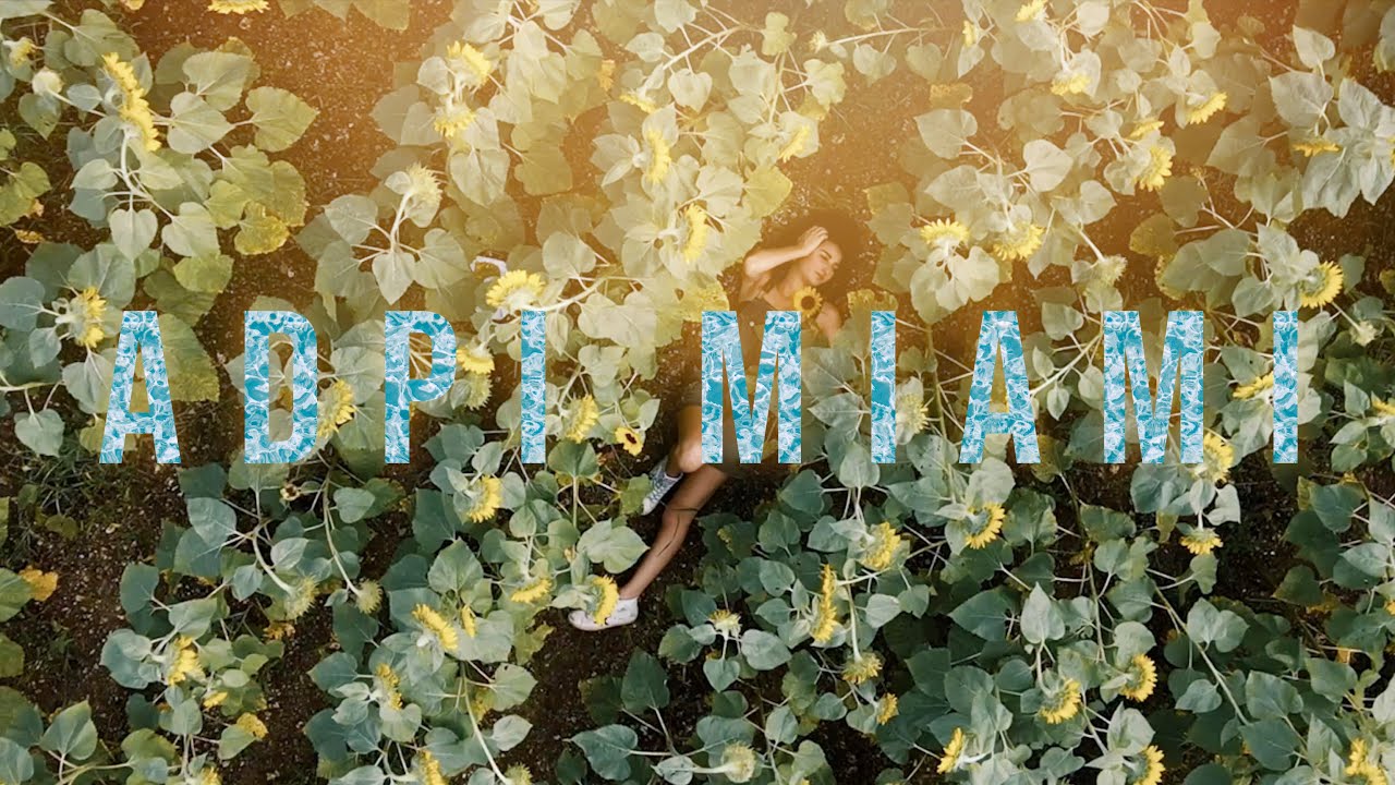 ADPI University of Miami Recruitment Video 2021\ Cinematic - YouTube