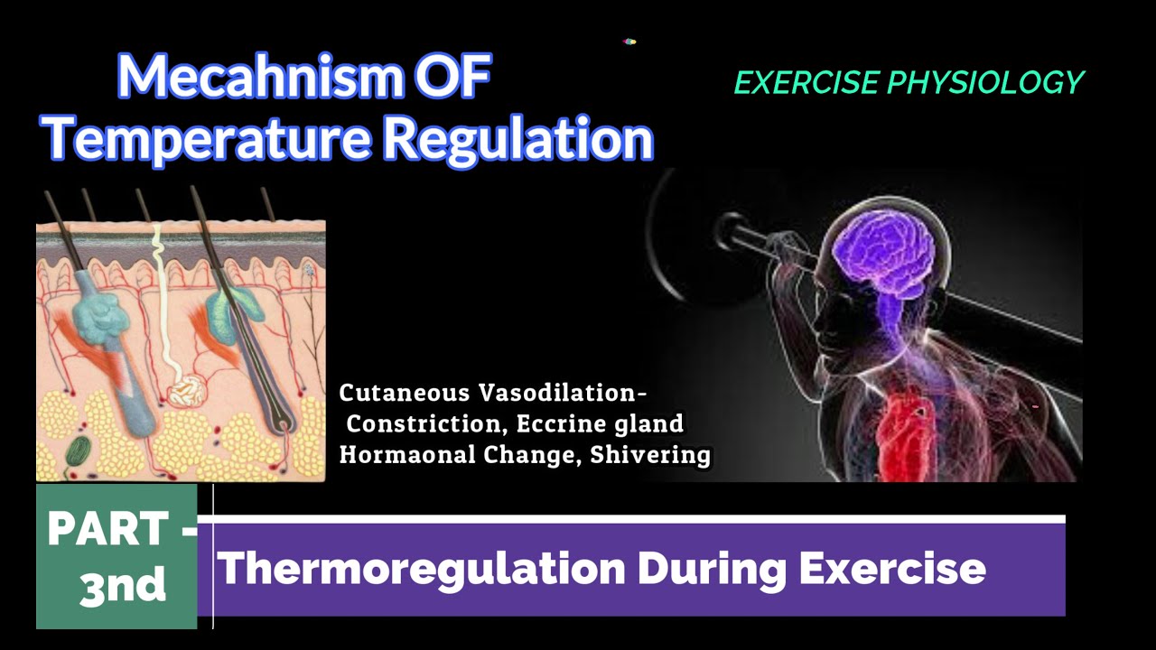 Environmental Influence on Human Physiology Under Exercise PART-III ...