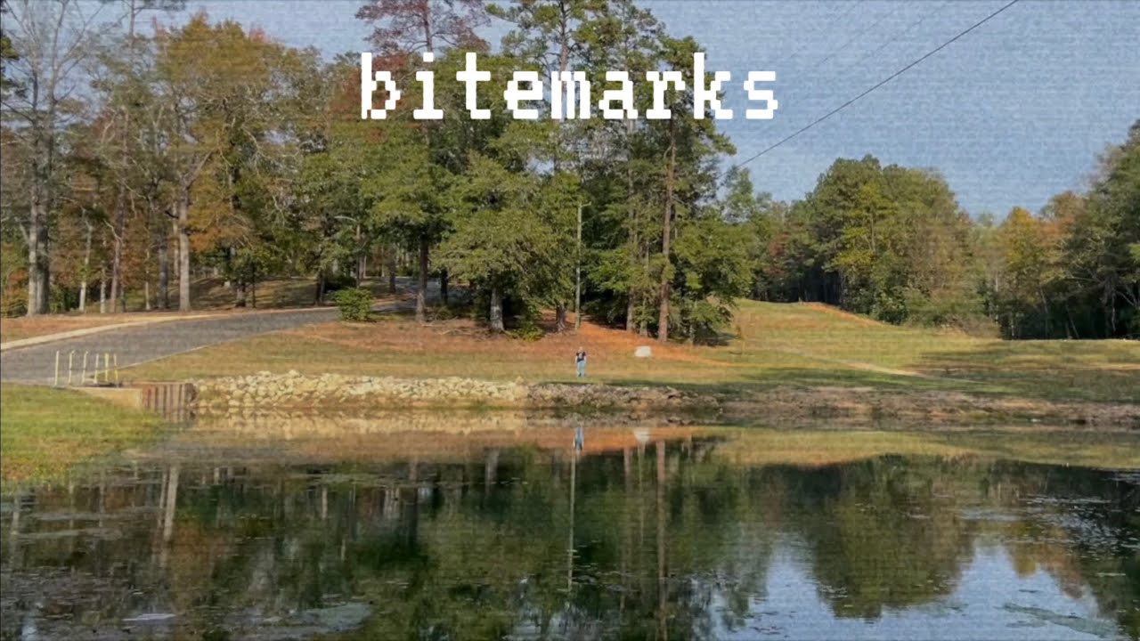 bitemarks (last one, promise) - YouTube