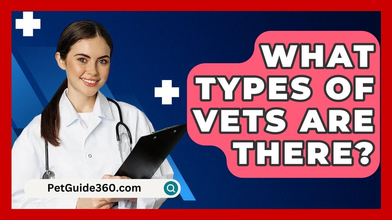 What Types Of Vets Are There? - PetGuide360.com - YouTube