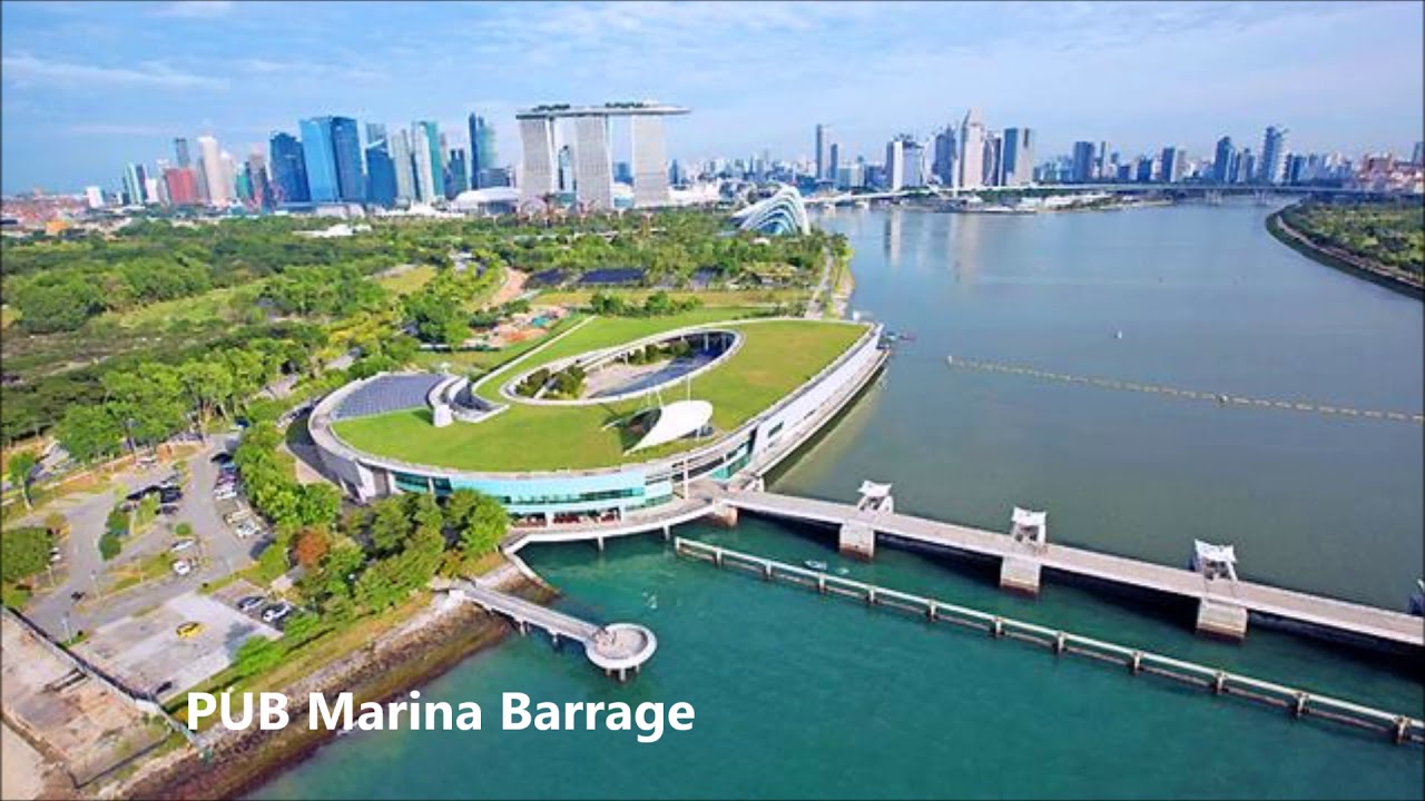 BSG Landscape & Construction Pte Ltd - YouTube