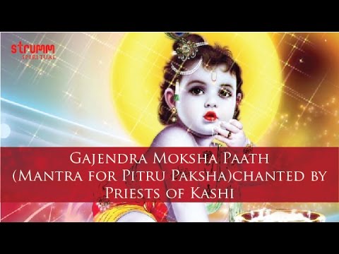 Gajendra Moksha Paath(Mantra for Pitru Paksha)chanted by Priests of ...
