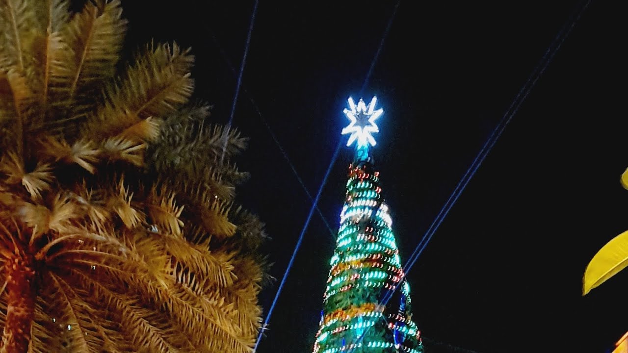 Central Park Mall 38m Giant Musical LED Christmas Tree Light Up ...