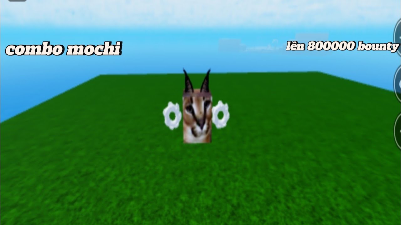 800 ngàn bounty chỉ với một combo trong meme sea - YouTube