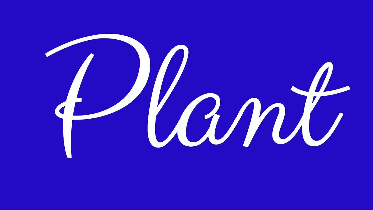 Learn how to Write the Name Plant Signature Style in Cursive Writing ...