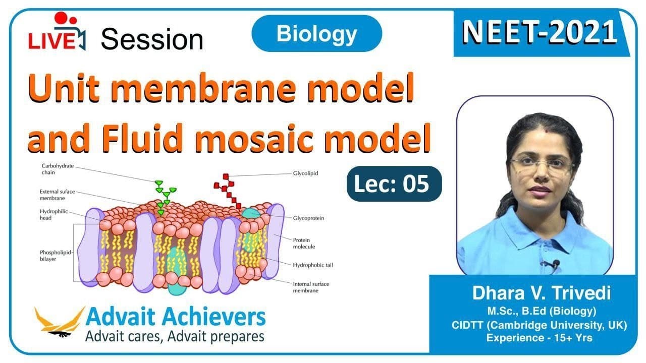🧫 𝐔𝐧𝐢𝐭 𝐌𝐞𝐦𝐛𝐫𝐚𝐧𝐞 𝐌𝐨𝐝𝐞𝐥 || 𝐂𝐄𝐋𝐋: 𝐓𝐇𝐄 𝐔𝐍𝐈𝐓 𝐎𝐅 𝐋𝐈𝐅𝐄 || Lec - 05 || 𝐁𝐢𝐨 𝐟𝐨𝐫 ...