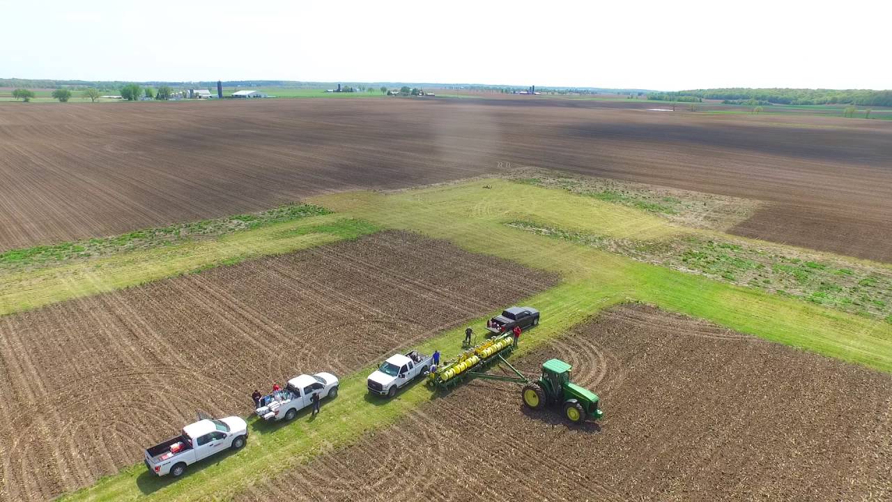 Planting Plot with Conserv FS cared for by ENACTUS - YouTube