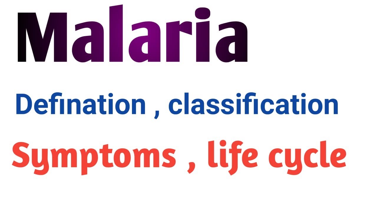 Antimalarial drugs definition , classification, symptoms, life cycle ...