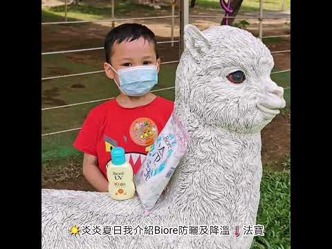 菠蘿園有機薈低碳農莊Go Green Organic Farm - YouTube