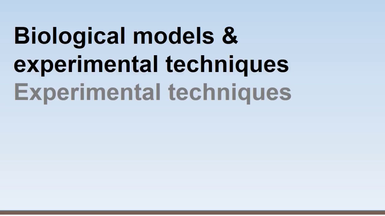 31 Biological models & experimental techniques Experimental techniques ...