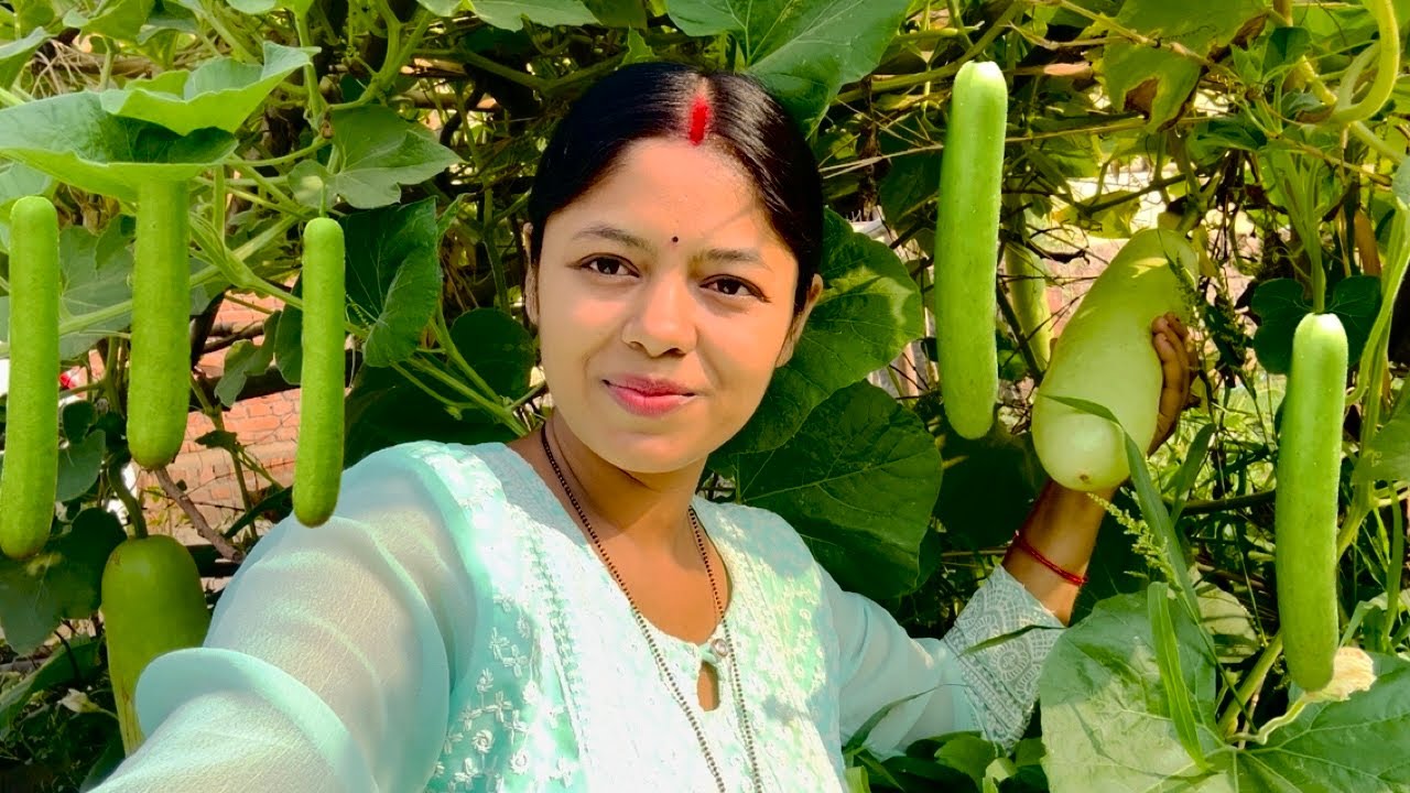 उँगलियाँ चाटने पे मजबूर हो जाएँगे,जब मेरे गाँव के तरीक़े से कद्दू (लौकी ...