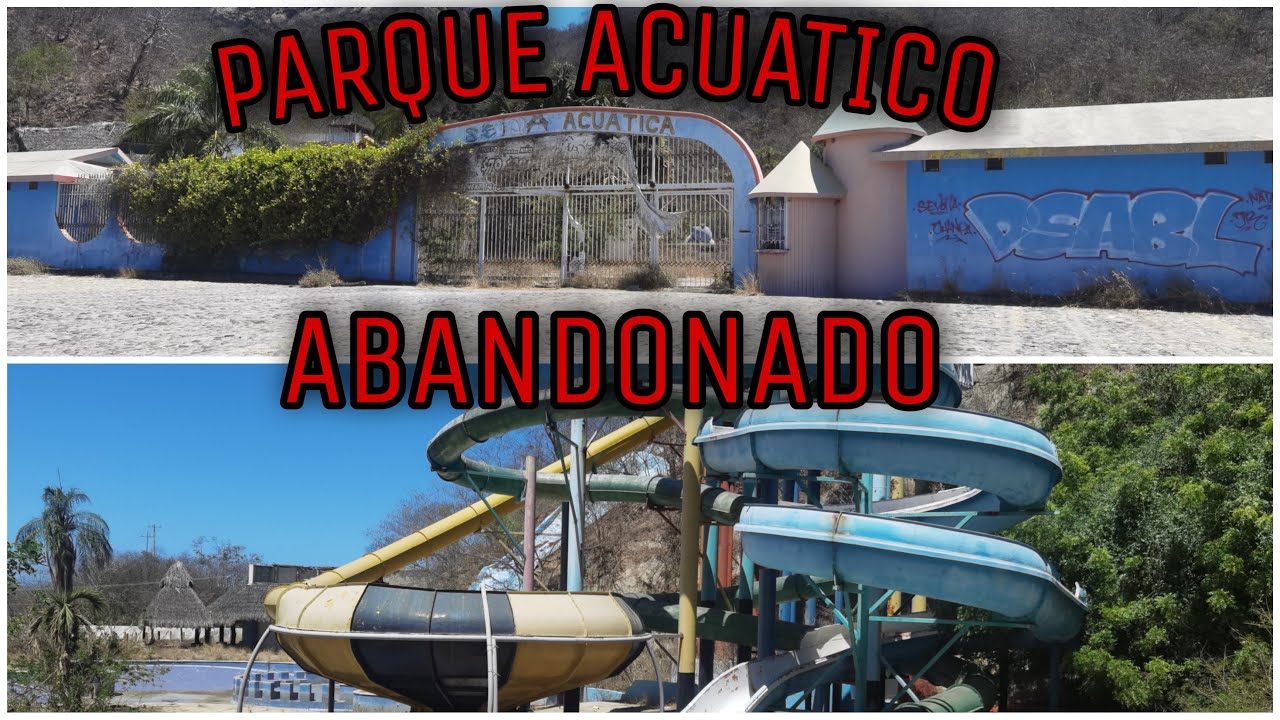 SELVA ACUATICA ABANDONADA/CACHORRO CRUZ #manzanillo #alberca #abandonos ...