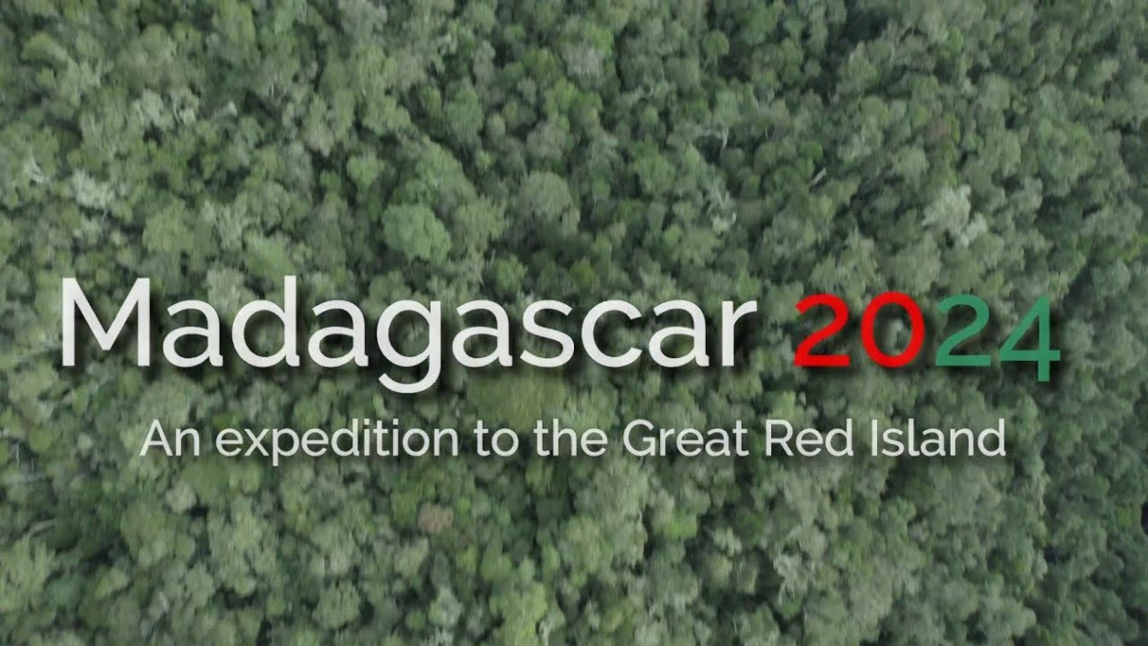 Madagascar 2024: An Expedition To The Great Red Island - YouTube