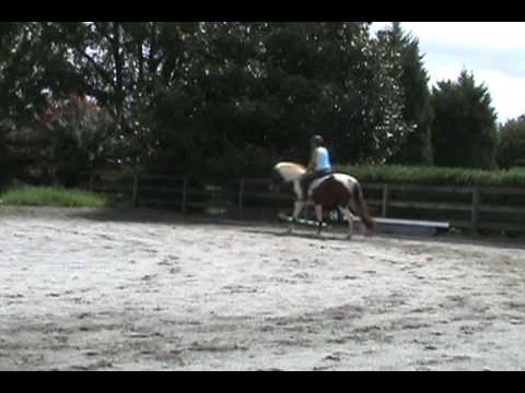 Doc Flatwork 0001 - YouTube