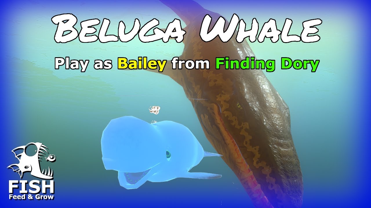 Finding Dory's Beluga Whale - Feed and Grow Fish - Ep21 [LVL 100] - YouTube