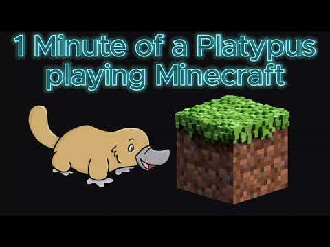 1 Minute Of A Platypus Playing Minecraft - YouTube