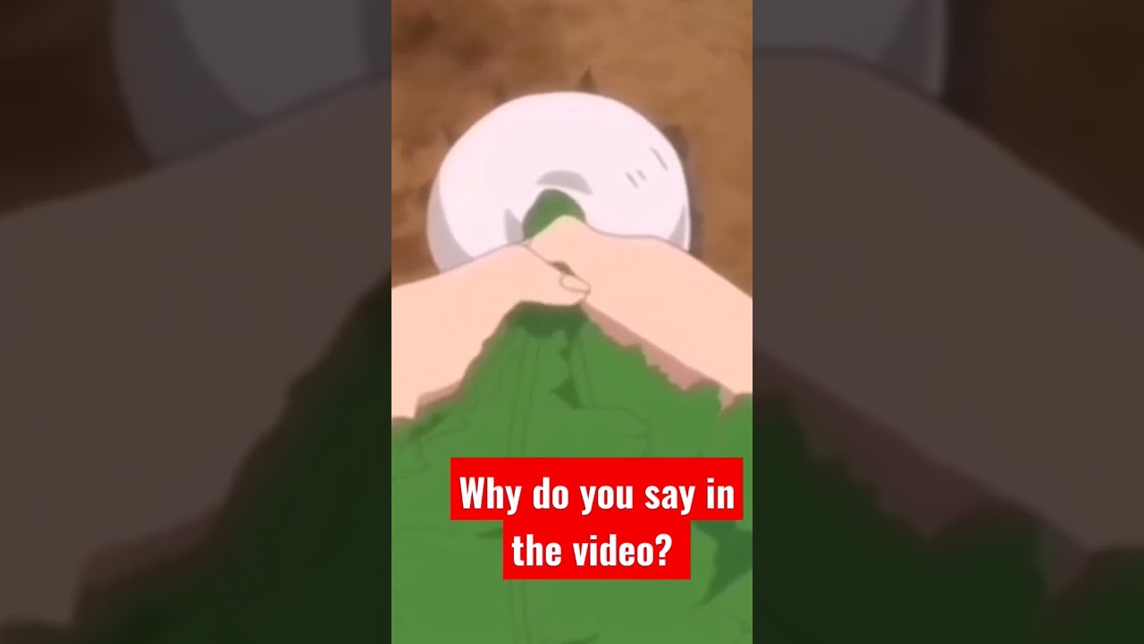Why Do You Say In The Video YouTube why-do-you-say-in-the-video-youtube