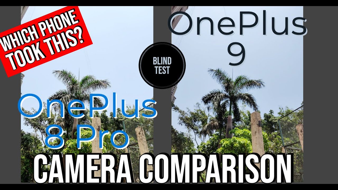 OnePlus 9 vs OnePlus 8 Pro | Camera Comparison | Blind SmartPhone ...