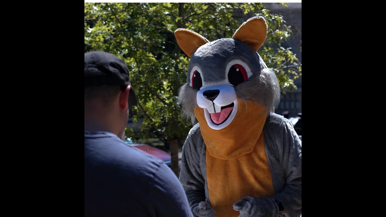 Squirrel Name Reveal - YouTube