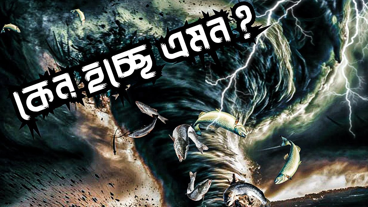 Fish Rain In Iran || Tornado Cyclone With Dire Situation - YouTube