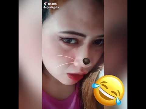 Halo halong Kulitan.ng aso kong makulit game na game mgtiktok😁 - YouTube