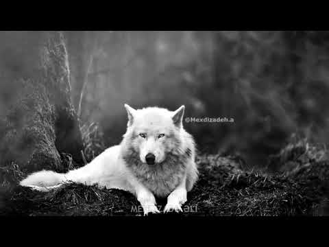 Mükəmməl Gürcü şarkısı♥♥♥