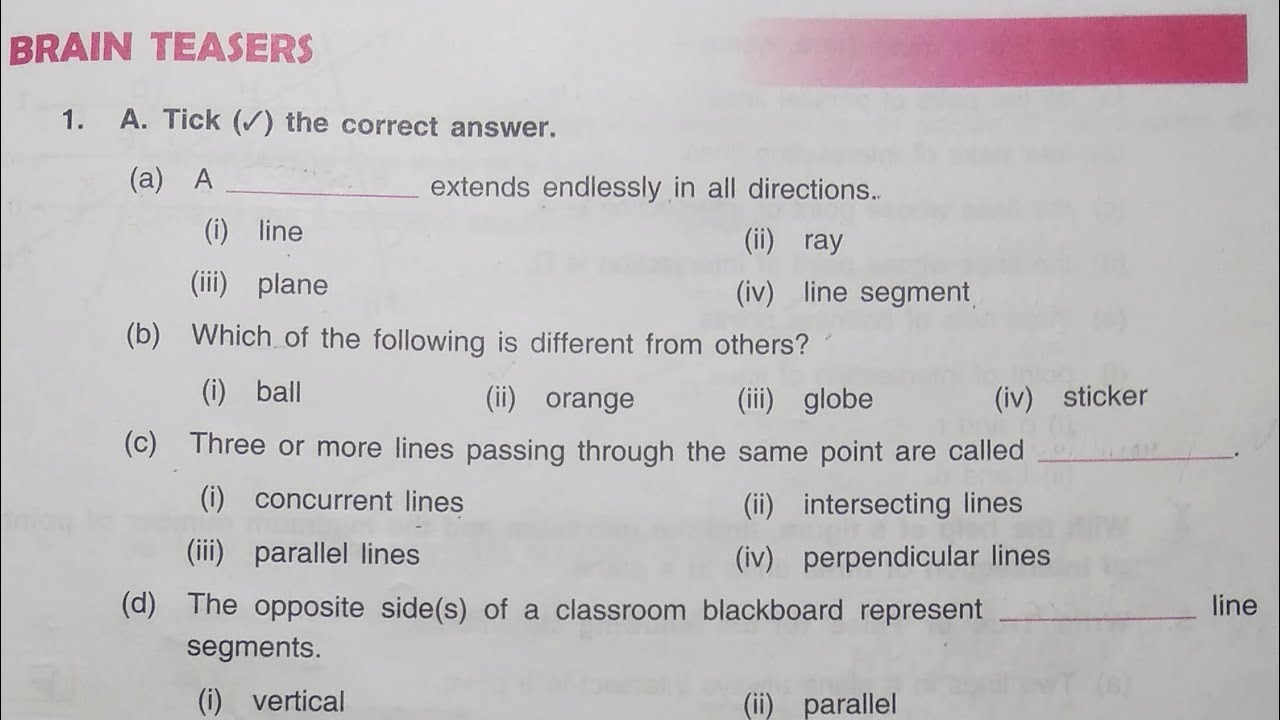 Dav Class 6 Math Chapter 8 Brain Teasers || Basic Geometrical Concepts ...