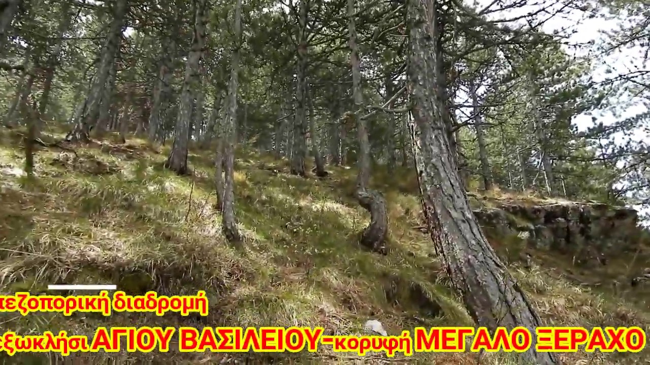 ΠΑΡΟΥΣΙΑΣΗ ΠΕΖΟΠΟΡΙΚΗΣ ΔΙΑΔΡΟΜΗΣ ΕΞΩΚΛΗΣΙ ΑΓΙΟΥ ΒΑΣΙΛΕΙΟΥ ΚΟΡΥΦΗ ΜΕΓΑΛΟ ...