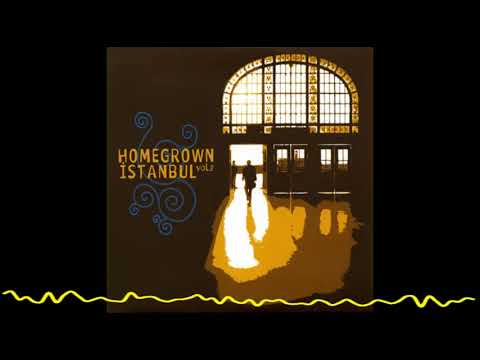 Ceyhun Çelikten & Nurhat Şensesli - Happy Istanbul (Homegrown Istanbul, Vol.2 - 2008)