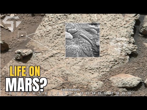 Perseverance Finds Evidence of Life on Mars? This Rock Shocked NASA ...