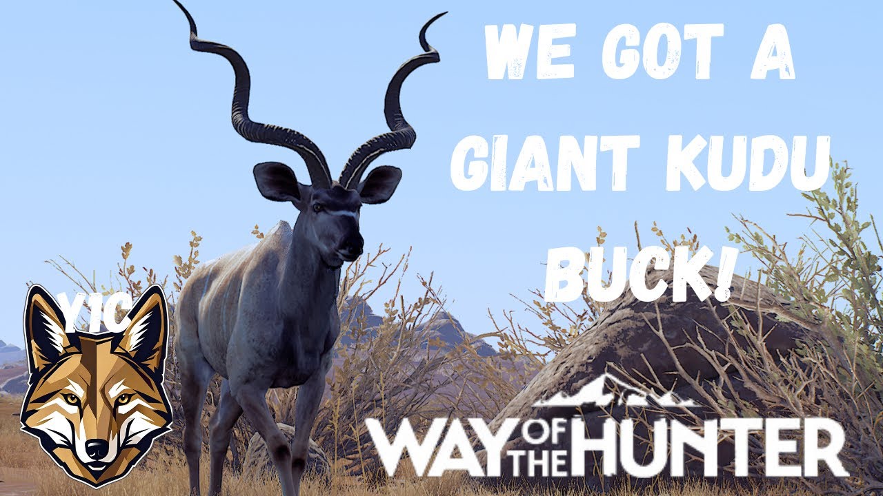 Holy Hunt! Greater Kudu 5-Star! | Way of the Hunter - YouTube