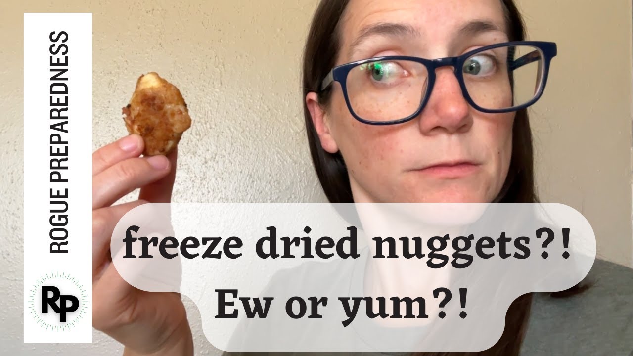Can You REALLY Freeze Dry Chicken Nuggets? - YouTube